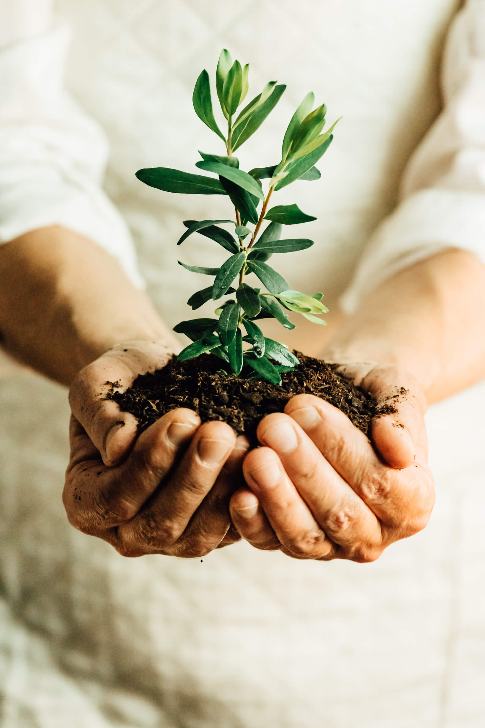 Conscious Heart Psychology in Fitzroy North, Victoria