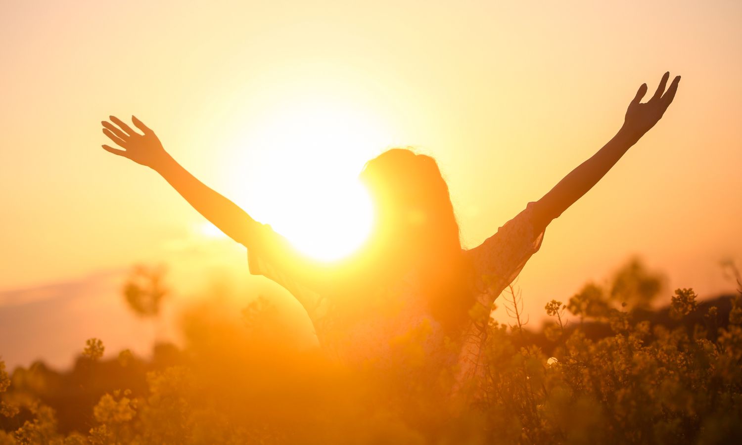 Conscious Heart Psychology Services, Preston VIC