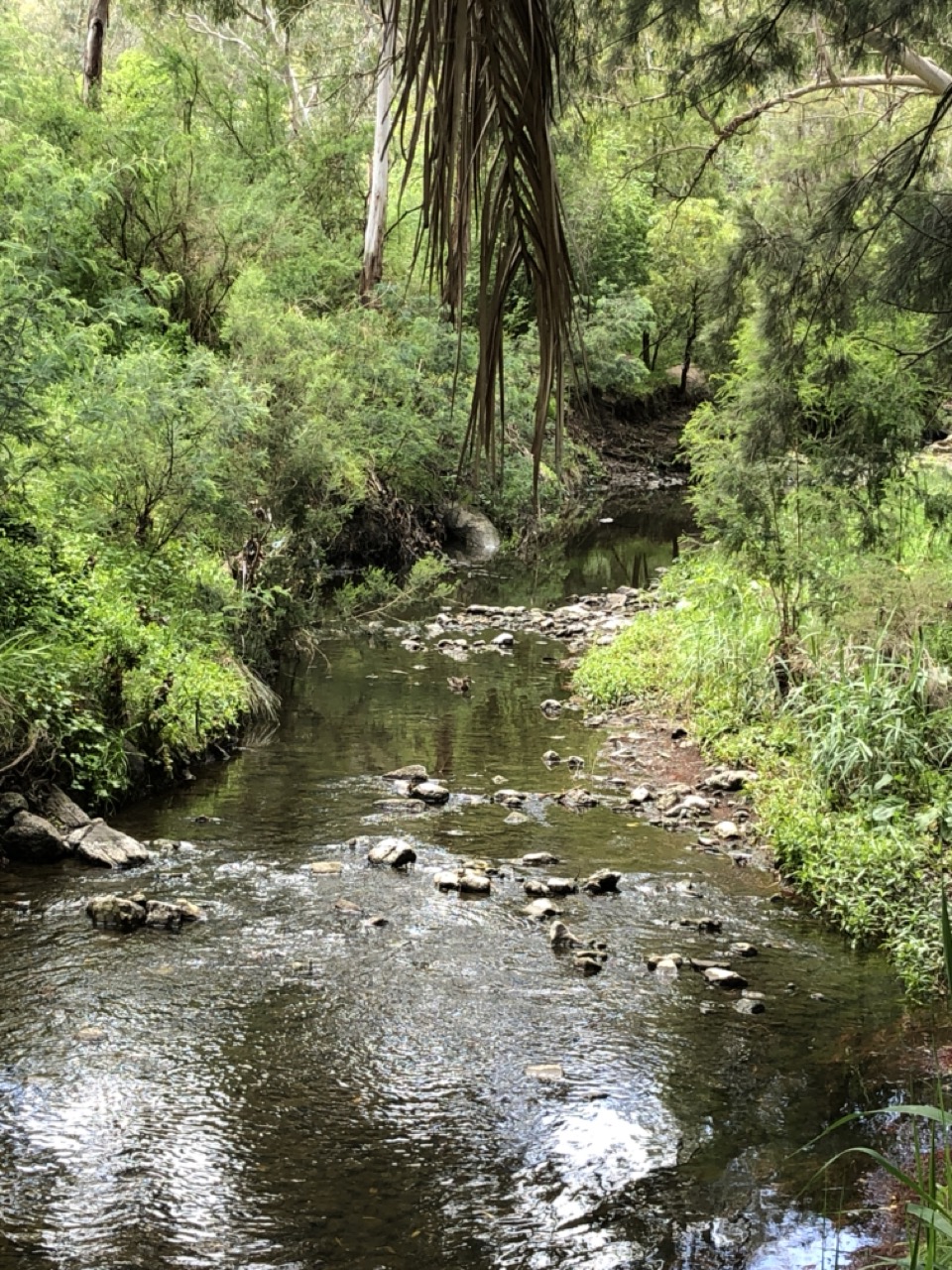 Values and Ethos of Conscious Heart Psychology, Fitzroy North